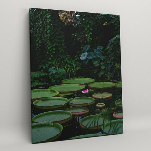 Картина на холсте (интерьерный постер) "Листы лотоса" пейзаж, с деревянным подрамником, размер 45x60 см
