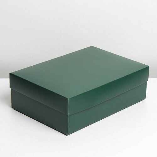 Коробка складная «Изумрудная», 30 х 20 х 9 см (комплект из 8 шт)