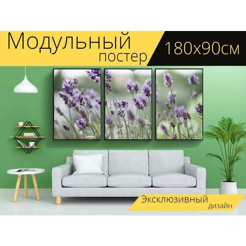 Модульный постер "Лаванда, фиолетовый, цветы лаванда" 180 x 90 см. для интерьера