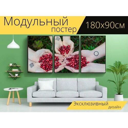 Модульный постер "Клюква, ягоды, болото" 180 x 90 см. для интерьера