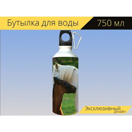 Бутылка фляга для воды "Лошадь, жеребенок, жеребец" 750 мл. с карабином и принтом