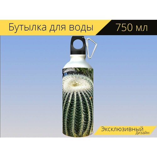 Бутылка фляга для воды "Кактус, шпора, кактусы" 750 мл. с карабином и принтом