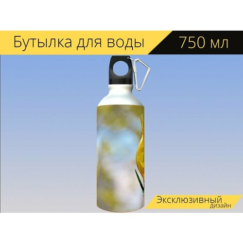 Бутылка фляга для воды "Стекло, витраж, хрустальное стекло" 750 мл. с карабином и принтом