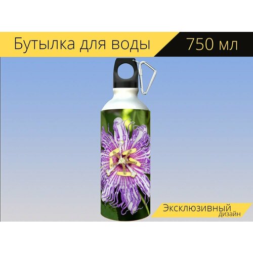 Бутылка фляга для воды "Пассифлора, цветы страсти, лозы страсти" 750 мл. с карабином и принтом