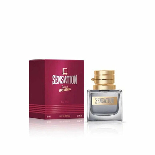 Dilis Parfum Sensation парфюмерная вода 80 мл для мужчин