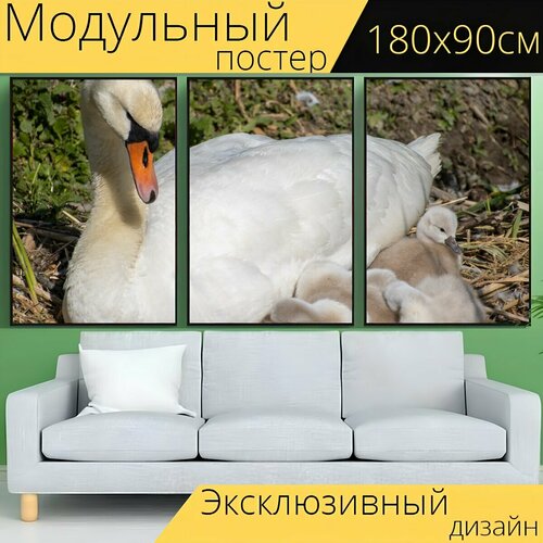 Модульный постер "Лебедь, цыпленок, природа" 180 x 90 см. для интерьера