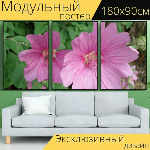 Модульный постер "Цветы, розовый, весна" 180 x 90 см. для интерьера