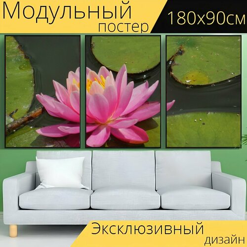 Модульный постер "Водяная лилия, озеро, листва" 180 x 90 см. для интерьера