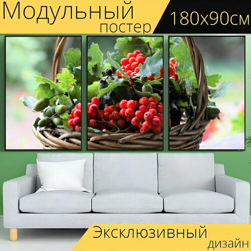 Модульный постер "Фрукты, ягоды, корзина с фруктами" 180 x 90 см. для интерьера