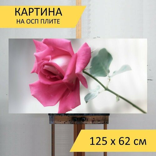 Картина на ОСП 125х62 см. "Цветок, розовый, природа" горизонтальная, для интерьера, с креплениями