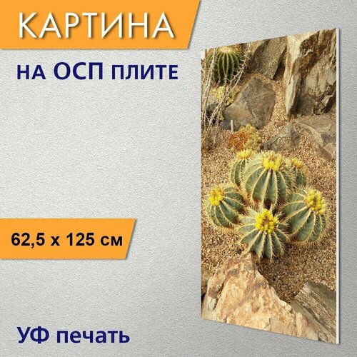 Вертикальная картина на ОСП "Желтый, бочка, кактус" 62x125 см. для интерьериа