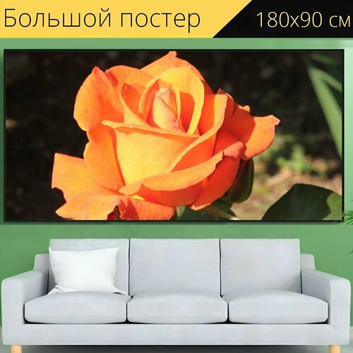 Большой постер "Роуз, розы, оранжевые розы" 180 x 90 см. для интерьера