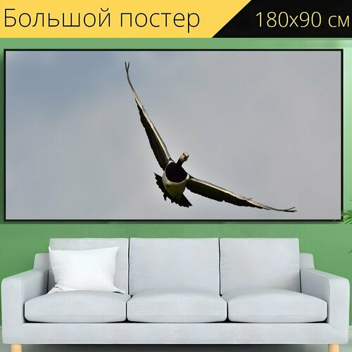 Большой постер "Нунс гусь, птица, летающий" 180 x 90 см. для интерьера