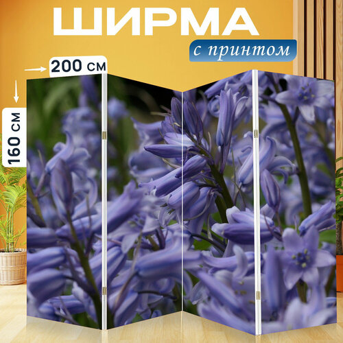 Ширма перегородка с принтом "Колокольчики, цветы, синие цветы" на холсте - 200x160 см. для зонирования, раскладная