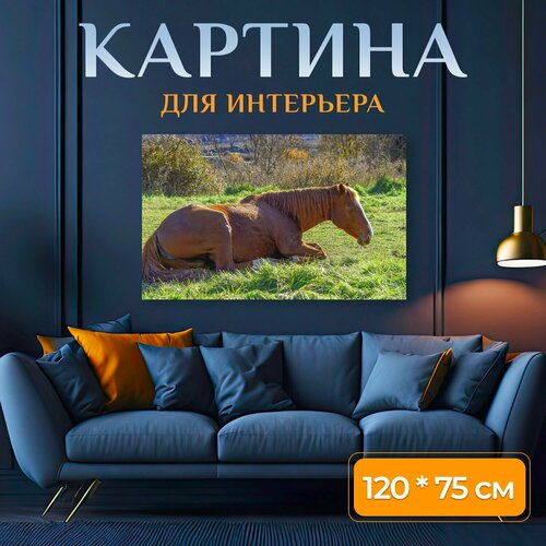 Картина на холсте "Лошадь, конный, езда на лошади" на подрамнике 120х75 см. для интерьера