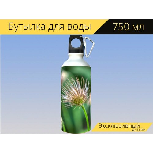 Бутылка фляга для воды "Прострел обыкновенный, паске цветок, подставка для фруктов" 750 мл. с карабином и принтом