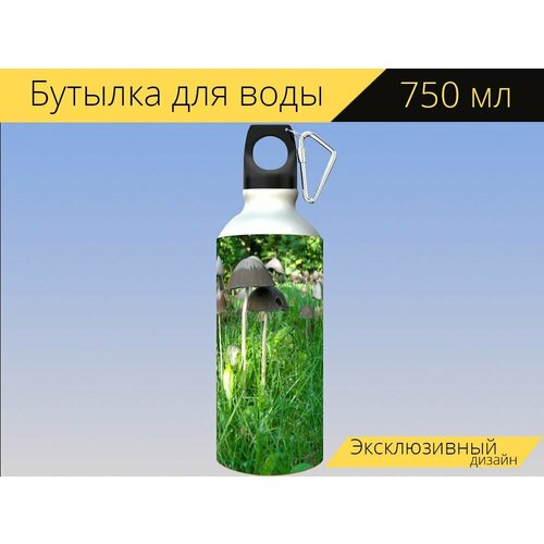 Бутылка фляга для воды "Грибы, трава, природа" 750 мл. с карабином и принтом