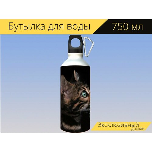 Бутылка фляга для воды "Кошка, собака, собака и кошка" 750 мл. с карабином и принтом