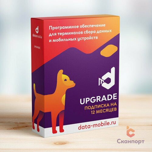 DataMobile, Upgrade с версии 12 месяцев