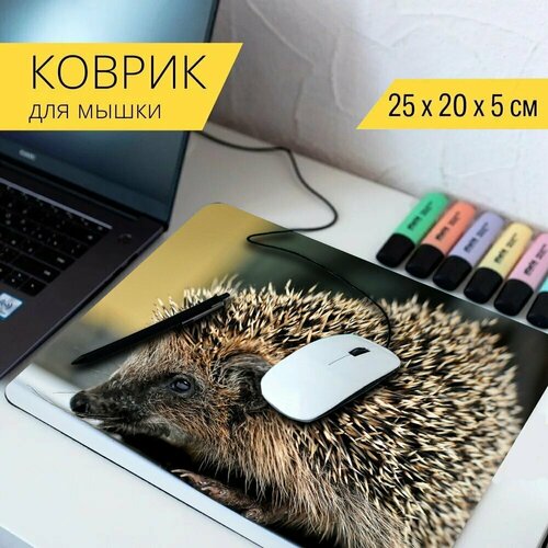 Коврик для мыши с принтом "Ежик, шпора, молодой" 25x20см.