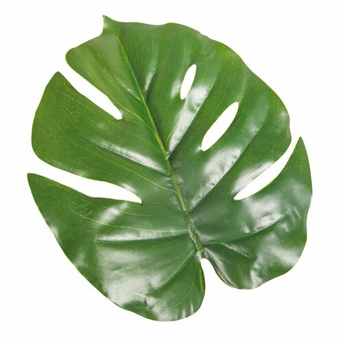 Декоративное растение Rayher "Монстера", лист, 2 шт