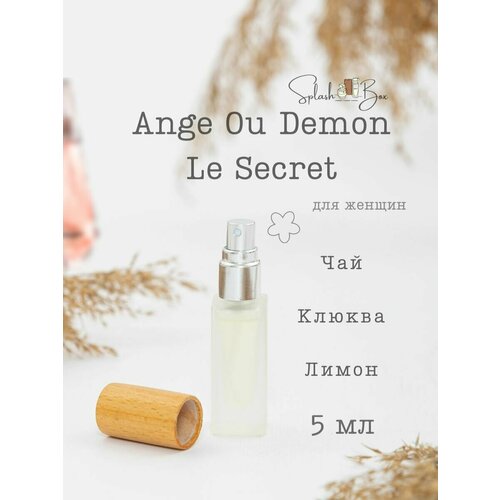 Angel ou Demon Le Secret духи стойкие
