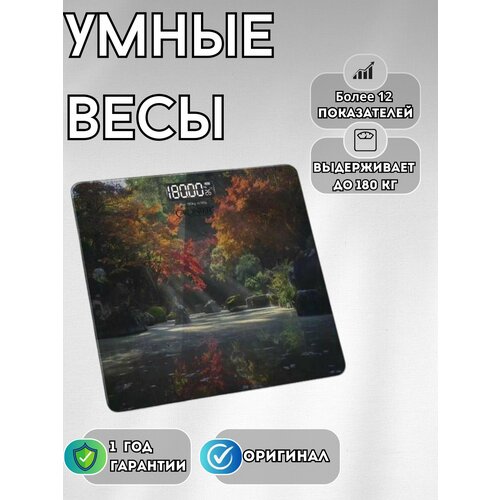 Напольные электронные весы