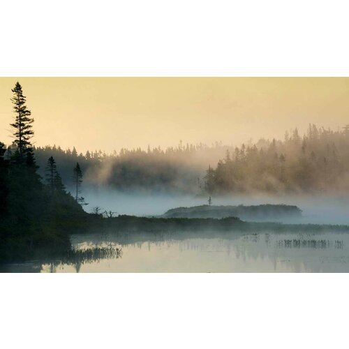 Картина на холсте 60x110 Альянс Лес "Утро природа лес туман озеро" на подрамнике / интерьер/ декор