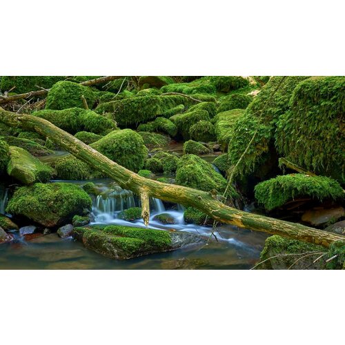 Картина на холсте 60x110 LinxOne "Речка камни водопад природа" интерьерная для дома / на стену / на кухню / с подрамником