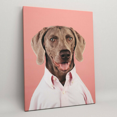 Картина на холсте (интерьерный постер) "Собака Веймаранер в рубашке", с деревянным подрамником, размер 22x30 см