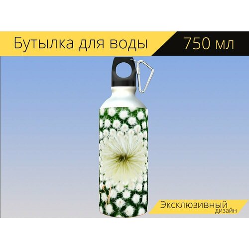 Бутылка фляга для воды "Кактус, пустыня, цветок" 750 мл. с карабином и принтом
