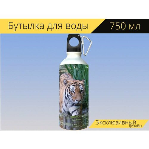 Бутылка фляга для воды "Тигр, зоопарк, хищник" 750 мл. с карабином и принтом