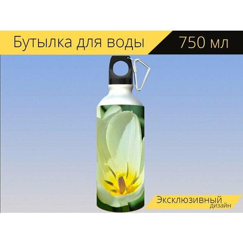 Бутылка фляга для воды "Тюльпан, цветок, цвести" 750 мл. с карабином и принтом
