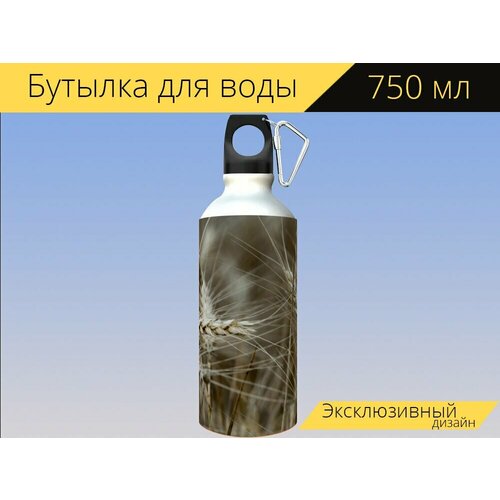 Бутылка фляга для воды "Семена, пшеница, хлопья" 750 мл. с карабином и принтом
