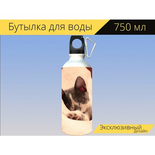 Бутылка фляга для воды "Кот, кошачий, кошки" 750 мл. с карабином и принтом