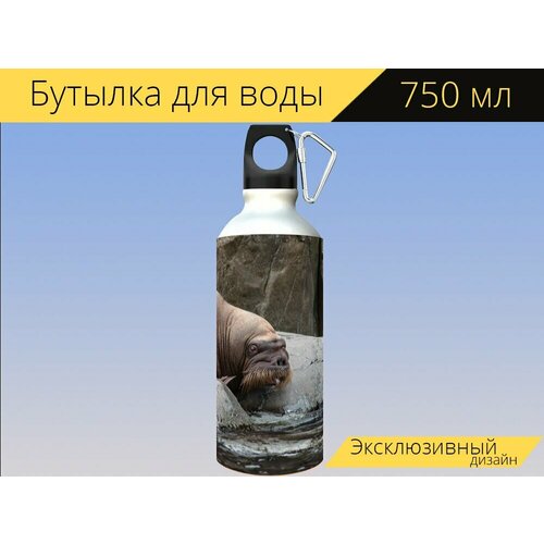 Бутылка фляга для воды "Морж, животное, зоопарк" 750 мл. с карабином и принтом