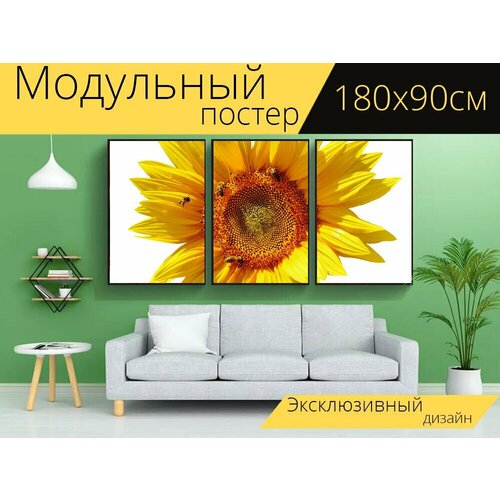 Модульный постер "Подсолнух, пчелы, летом" 180 x 90 см. для интерьера