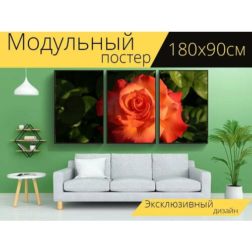 Модульный постер "Rose, весна, природа" 180 x 90 см. для интерьера