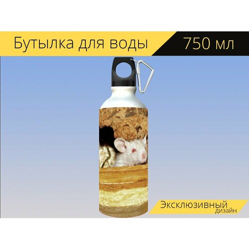 Бутылка фляга для воды "Крыса, крысиный детеныш, любопытный" 750 мл. с карабином и принтом