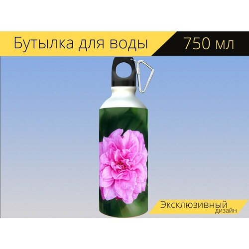 Бутылка фляга для воды "Роза, цветок, лепестки" 750 мл. с карабином и принтом