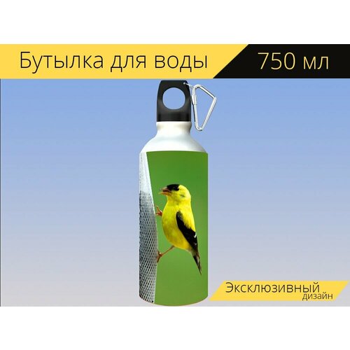 Бутылка фляга для воды "Золотой зяблик, птица, птичий" 750 мл. с карабином и принтом