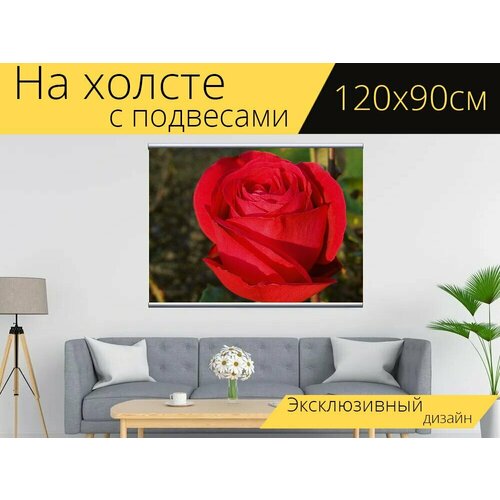 Картина на холсте "Роуз, цветок, красный" с подвесами 120х90 см. для интерьера