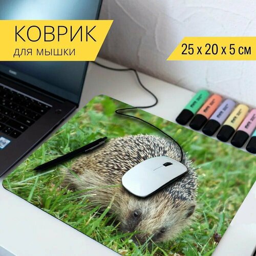Коврик для мыши с принтом "Ханна, ежик, колючий" 25x20см.