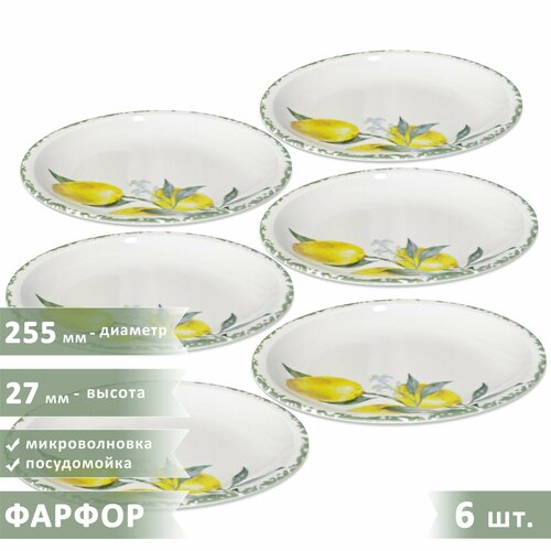 Набор плоских тарелок "Лимоны", фарфор, диаметр 255 мм, высота 27 мм, белые, 6 шт.