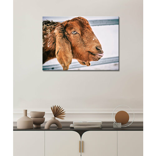 Картина -Коза, козел, безрогая коза, домашняя коза (2) 60х80