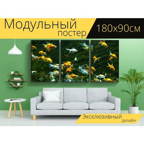 Модульный постер "Рыбы, золотые рыбки, рыбки" 180 x 90 см. для интерьера