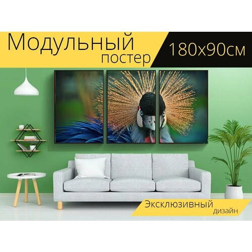 Модульный постер "Венценосный журавль, птица, животное" 180 x 90 см. для интерьера