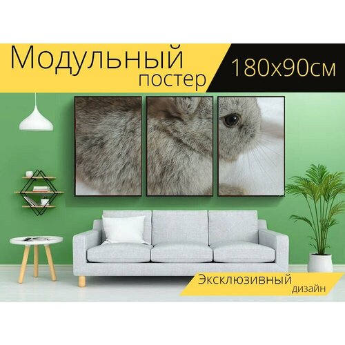 Модульный постер "Кролик, посмотреть, глаз" 180 x 90 см. для интерьера