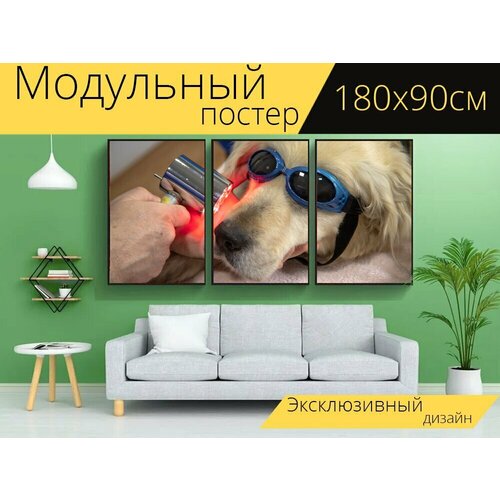 Модульный постер "Ветеринарный, стоматологический лазер, лечение" 180 x 90 см. для интерьера