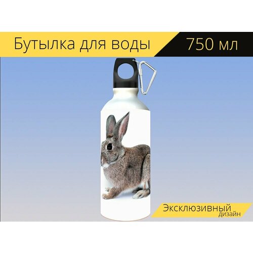 Бутылка фляга для воды "Кролик, домашний питомец, милый" 750 мл. с карабином и принтом